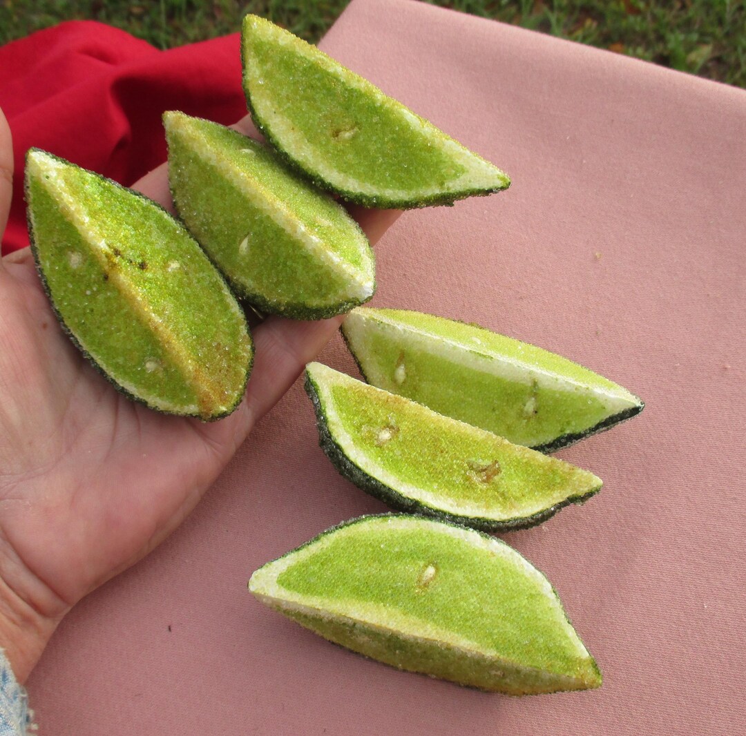 Lot of Artificial Sugared Lime Slices, TLC, Darkening, Yellowing - Etsy