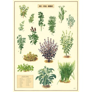 Garden Herbs Vintage Poster - Etsy