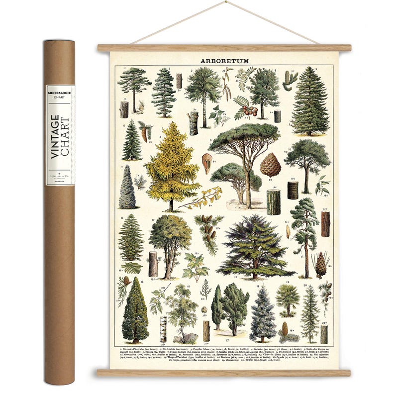 Vintage Poster - Etsy