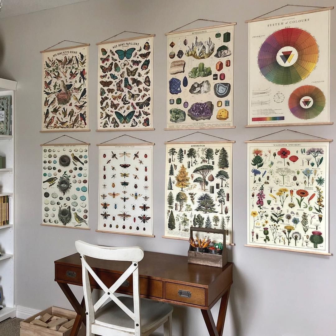 Flora Specimens Vintage Poster - Etsy