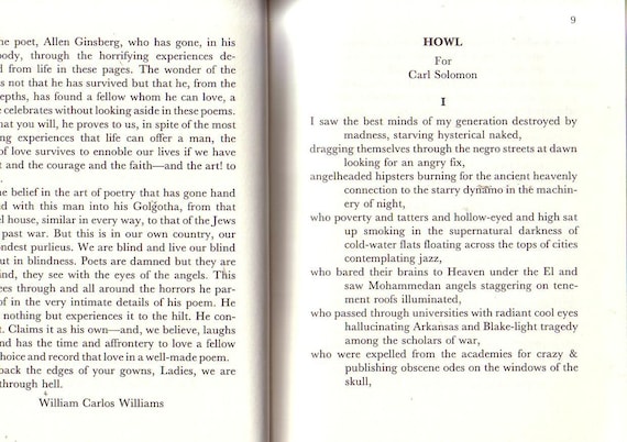 Allen Ginsberg Howl Graphic Novel