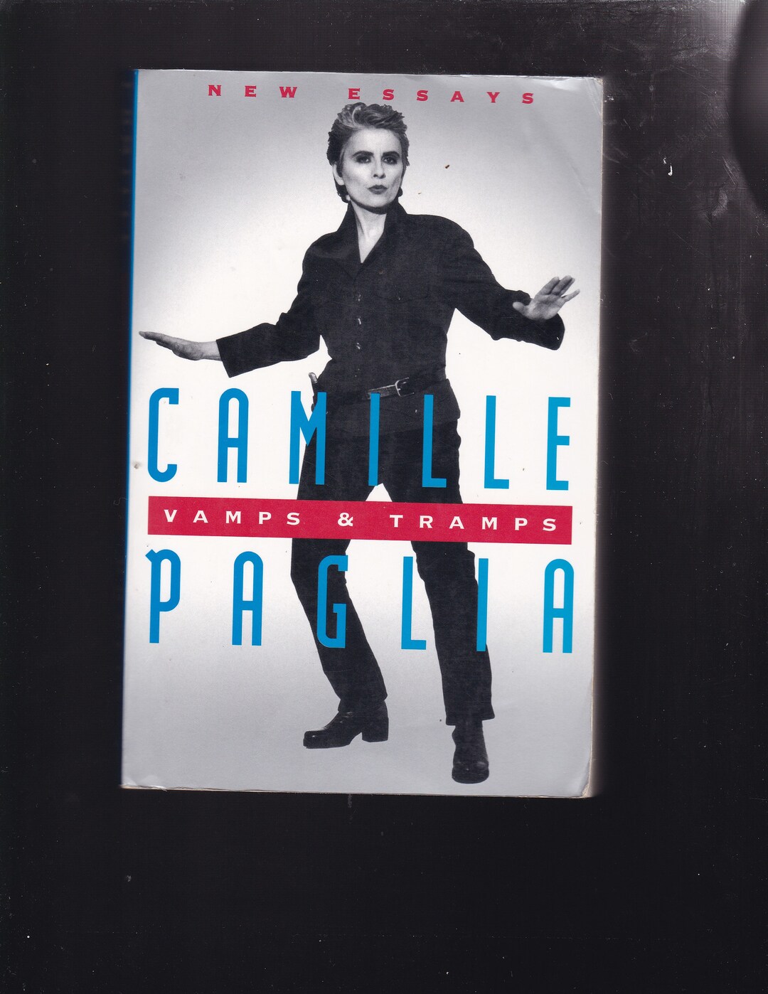 Vamps and Tramps by Camille Paglia. 1994 Large Paperback in Very Good ...