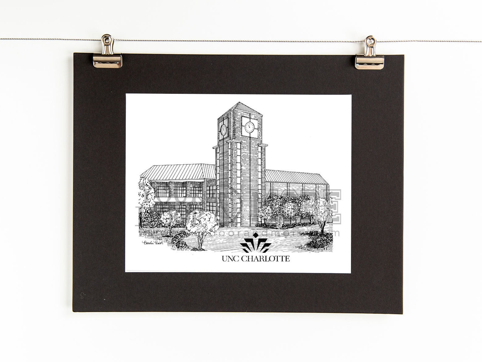 UNC Charlotte University of North Carolina Charlotte Forty Niners ...