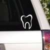 Molar Tooth Wall Decal - Etsy