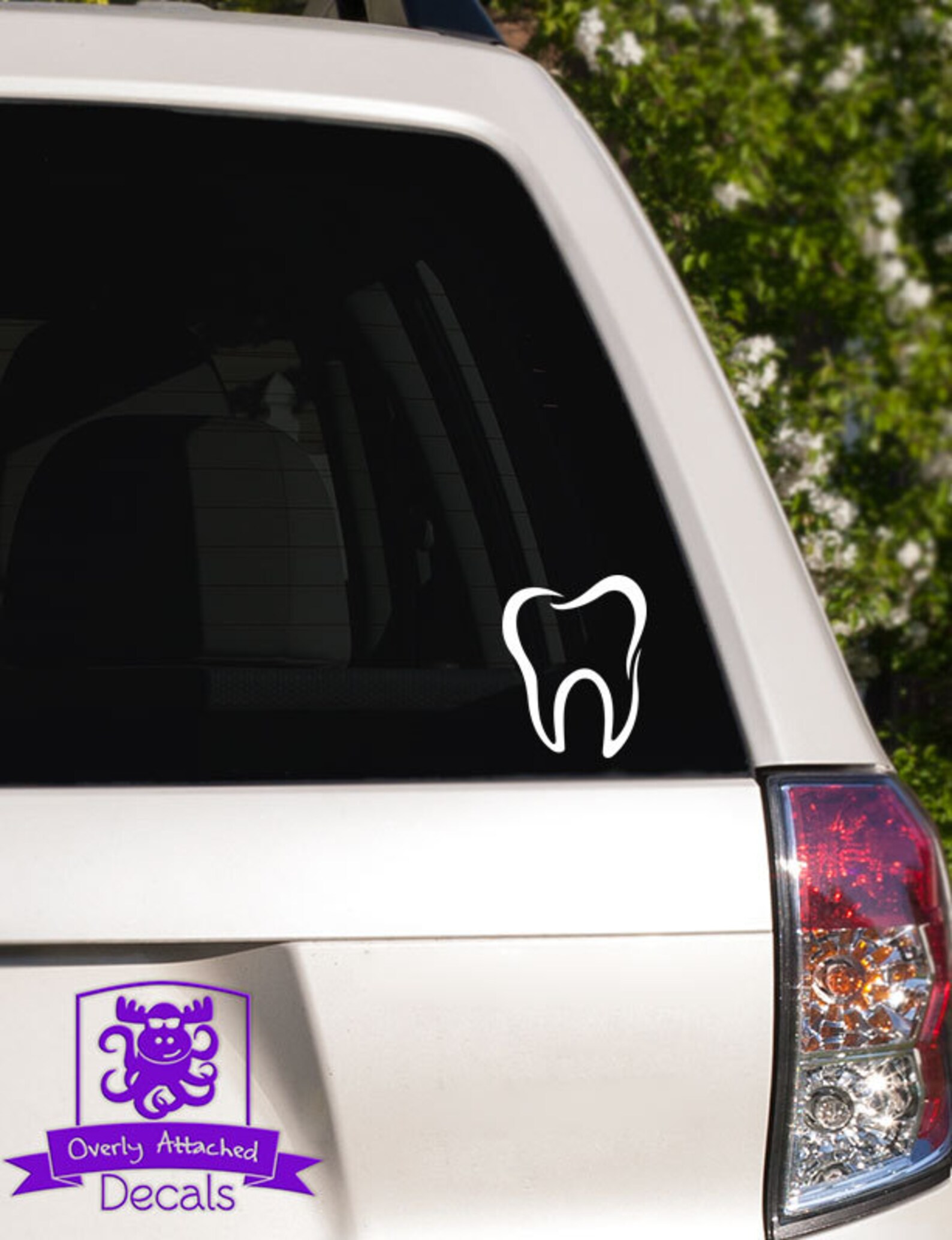 Molar Tooth Car Window Decal - Etsy