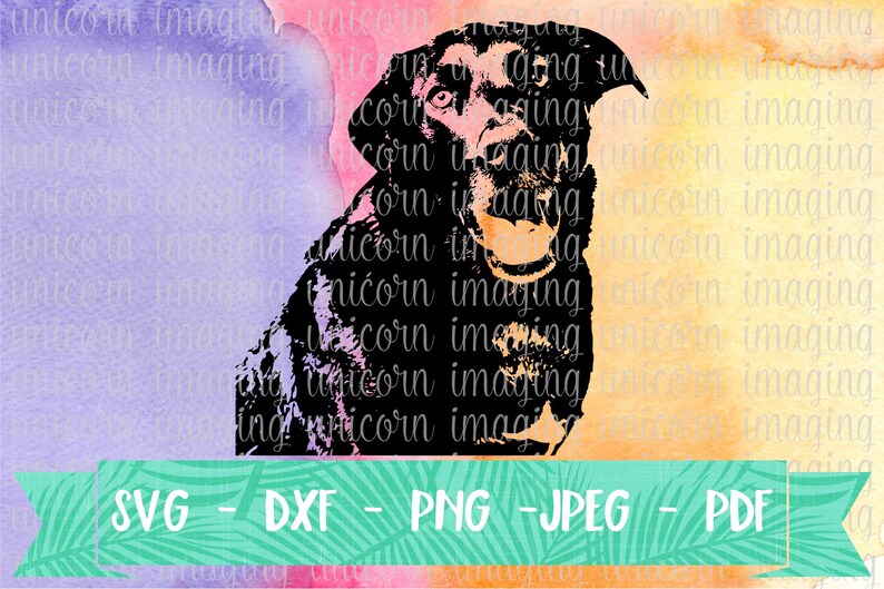 Labrador SVG Lab DXF Dog Doggo Photo Realism Cut File for - Etsy