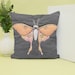 Luna Moth Quilt Pattern, Moth Quilt Pattern, Moth SVG File, Raw Edge ...