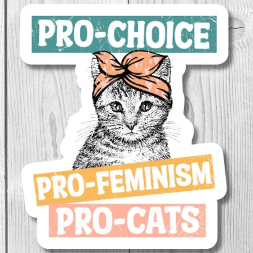 Pro Choice Pro Feminism Pro Cats Vinyl Die Cut Sticker Etsy