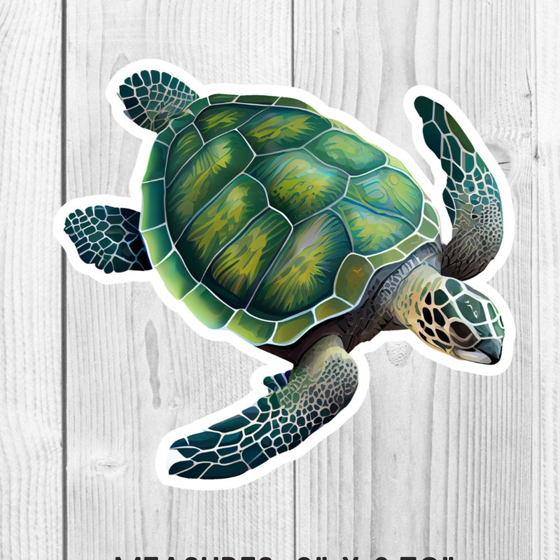 Green Sea Turtle - Etsy