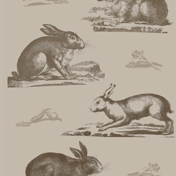 Rabbit Wallpaper - Etsy