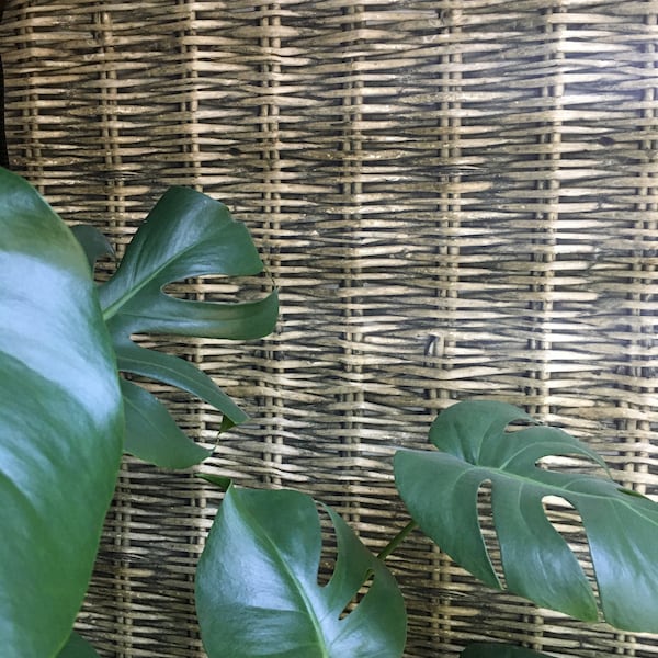 Wicker Wallpaper - Etsy