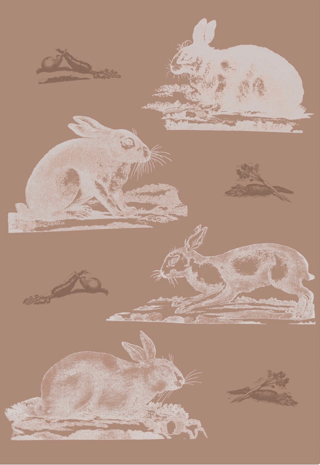 Bunny Rabbit Wallpaper - Plaster - Etsy