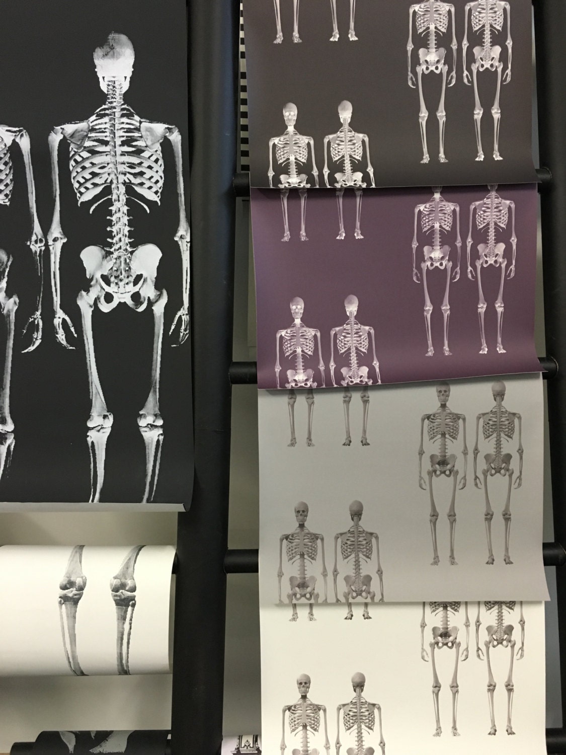 Dem Bones Wallpaper - Etsy