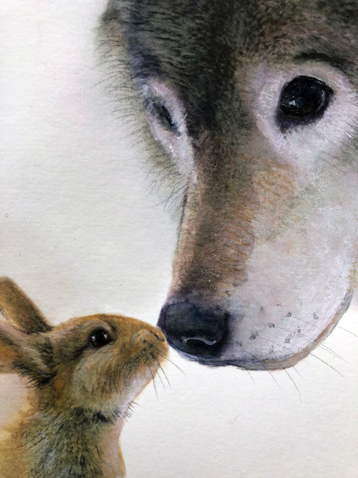 Illustration of a Wolf and a Rabbit Printed on Drawing Paper. | Etsy
