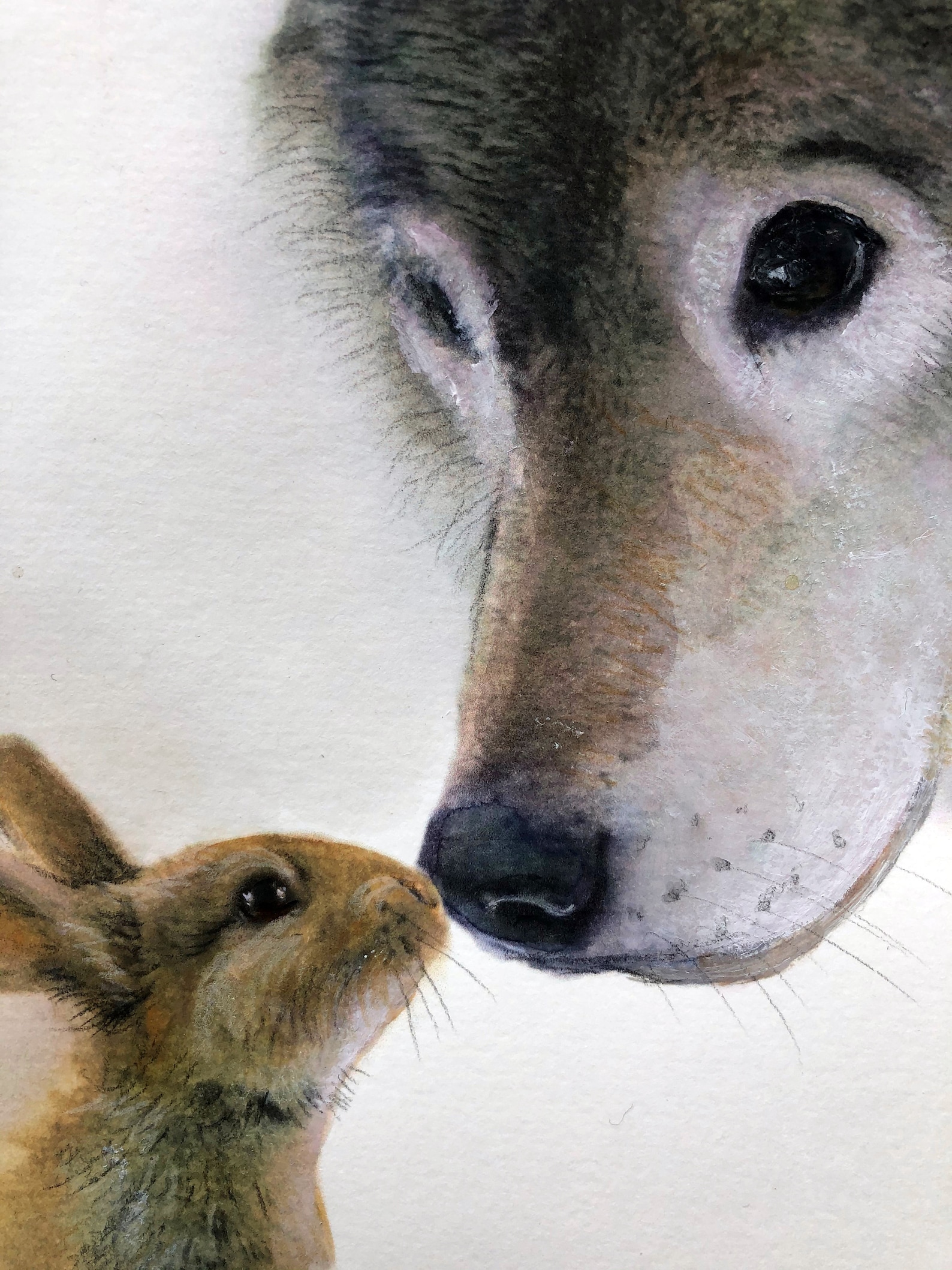 Illustration of a Wolf and a Rabbit, Printed on Drawing Paper. Wall ...