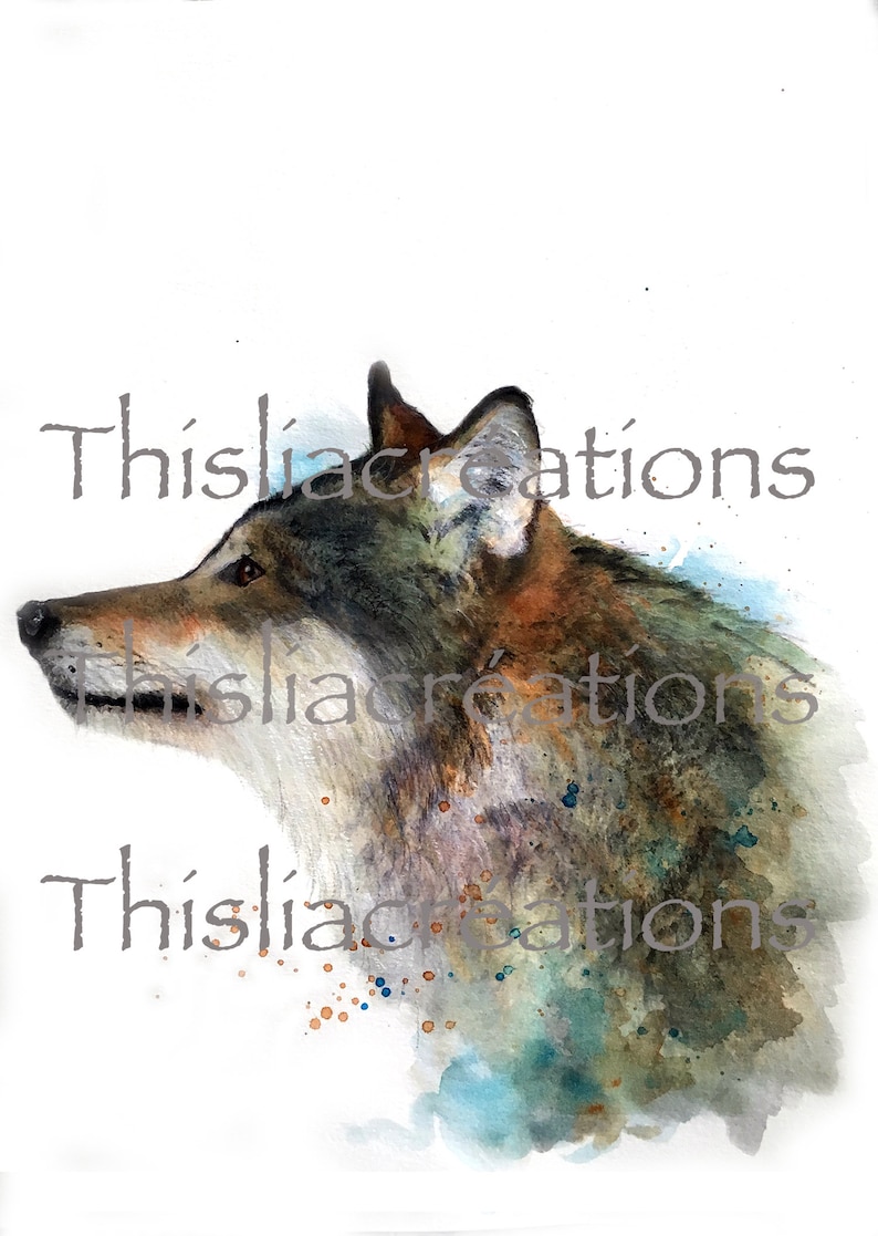 Illustration of a Wolf an Impression on Paper Drawing Mixed | Etsy