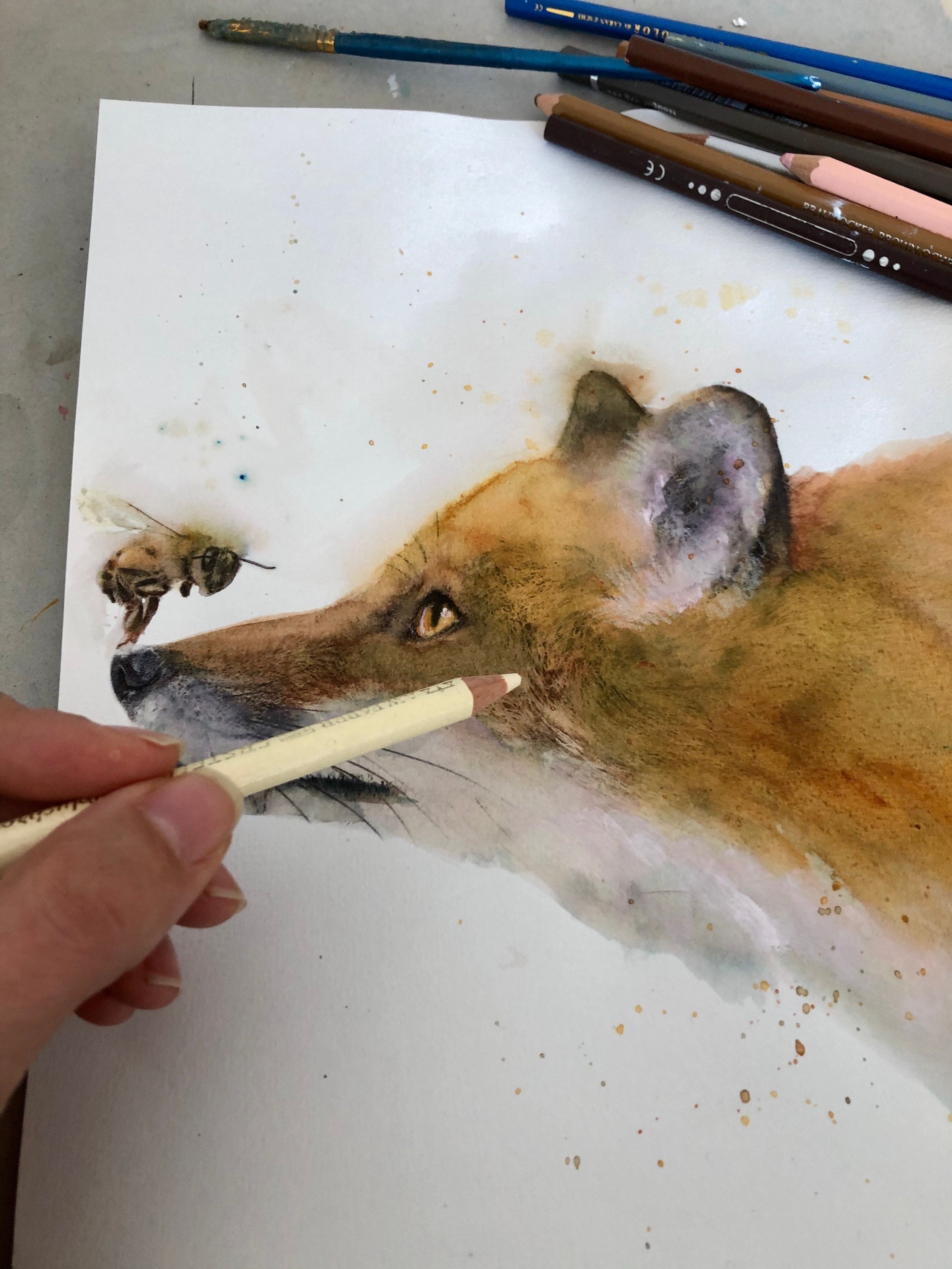 Illustration of a Fox and a Bee an Impression on Paper Drawing, Mixed ...