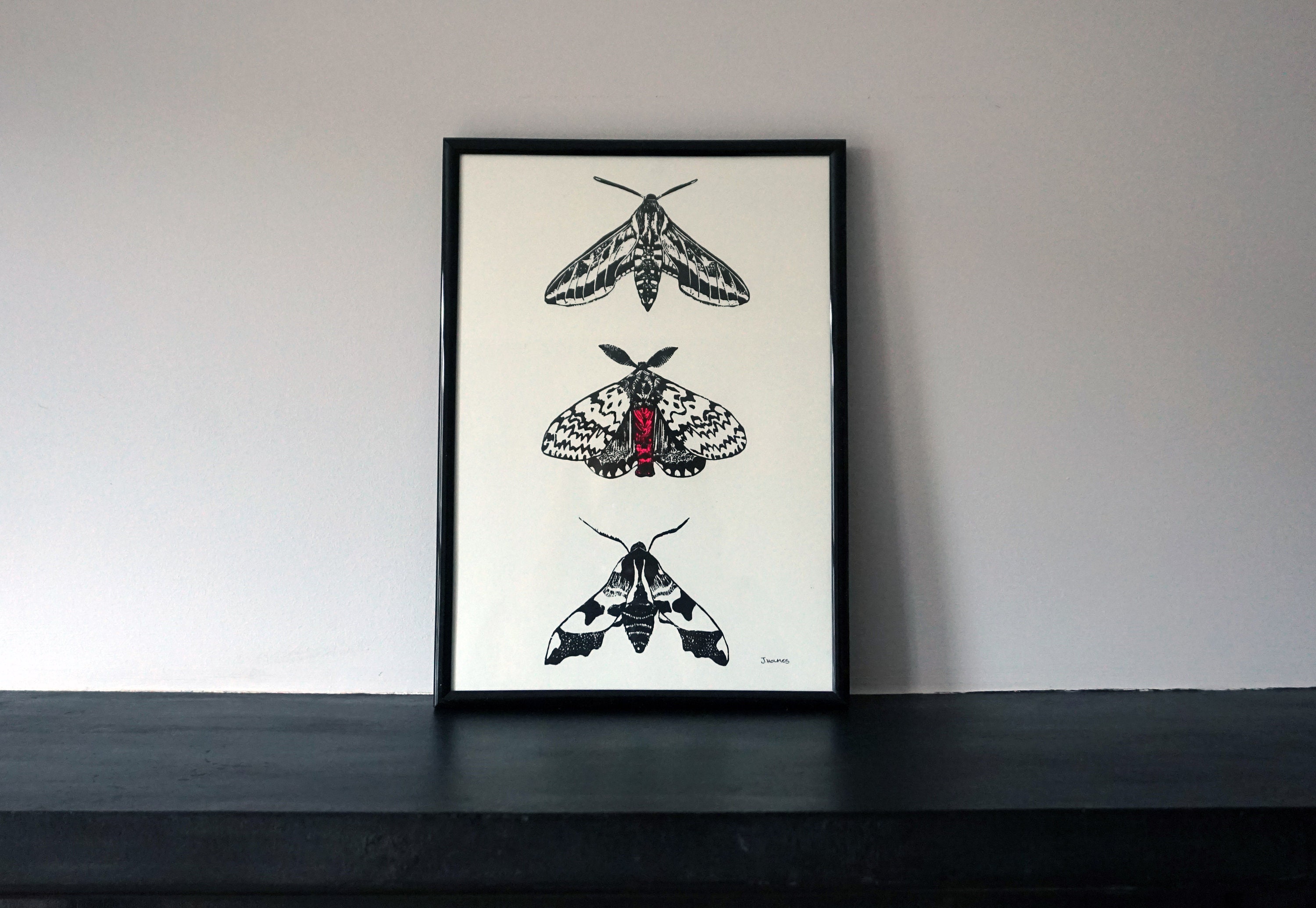 Moth Trio Lino Print Black With Neon Pink Colour Splash. - Etsy
