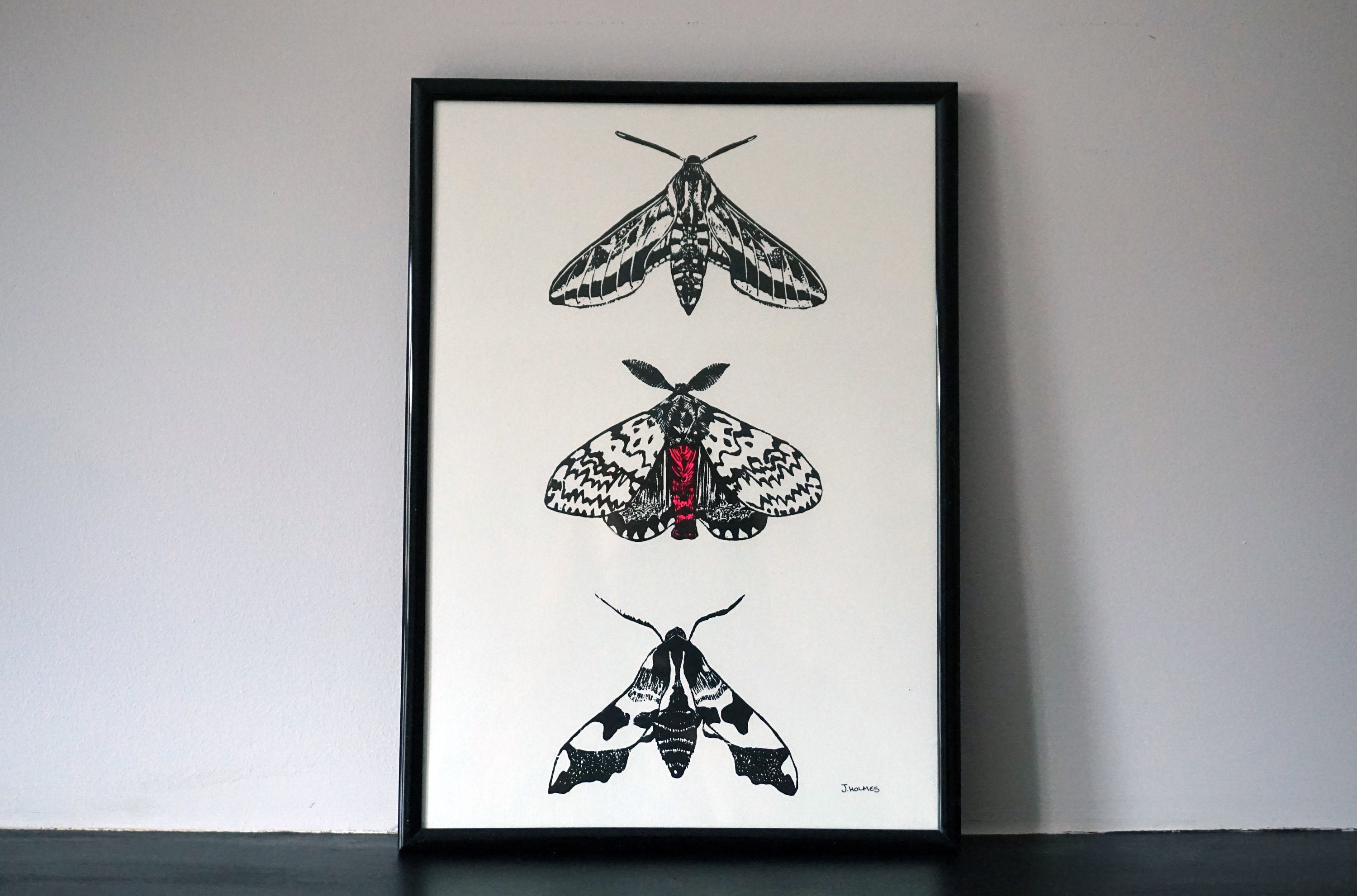 Moth Trio Lino Print Black With Neon Pink Colour Splash. - Etsy