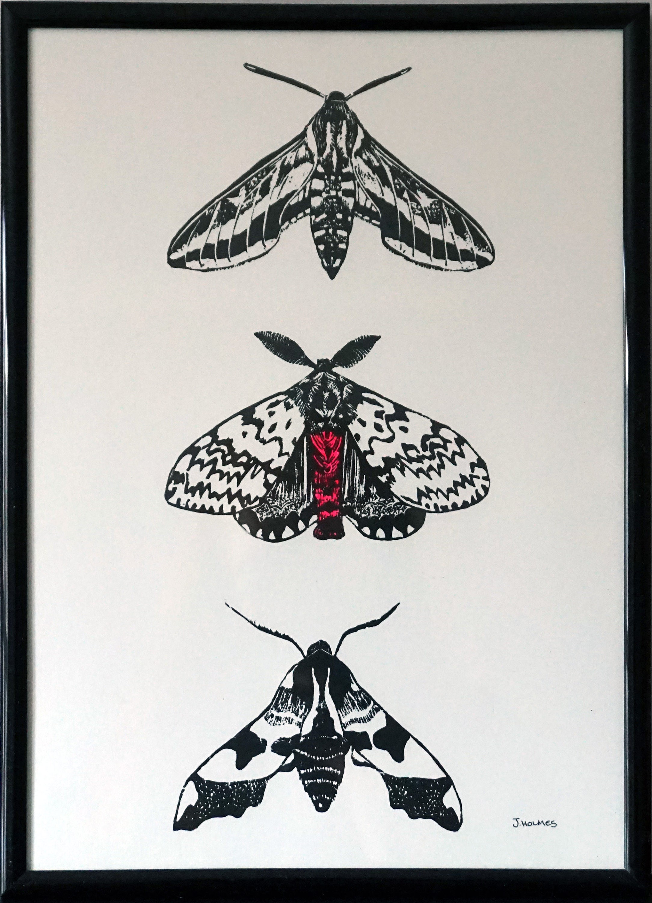 Moth Trio Lino Print Black With Neon Pink Colour Splash. - Etsy