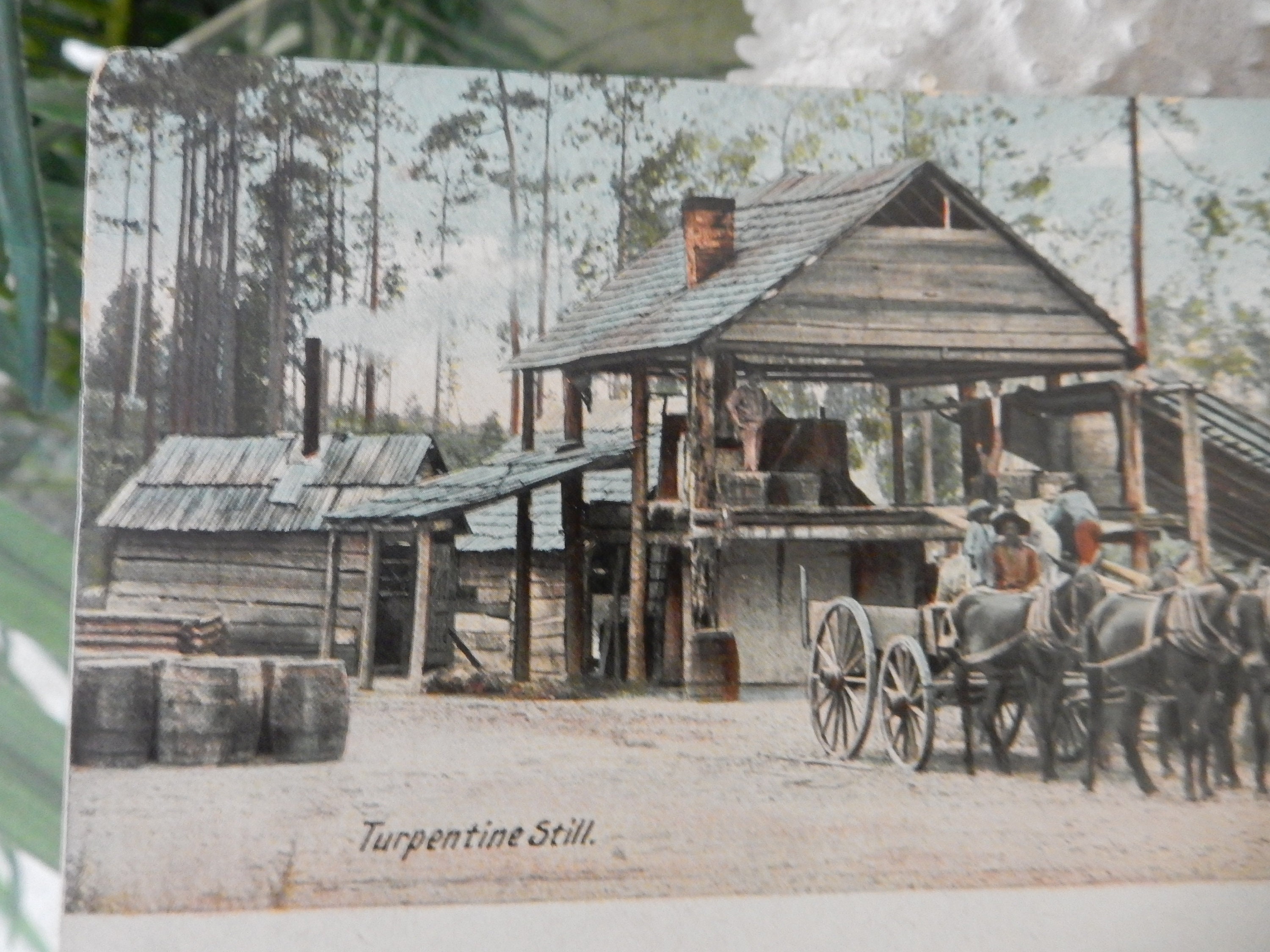 Turpentine Still, Black Americana Postcard - Etsy