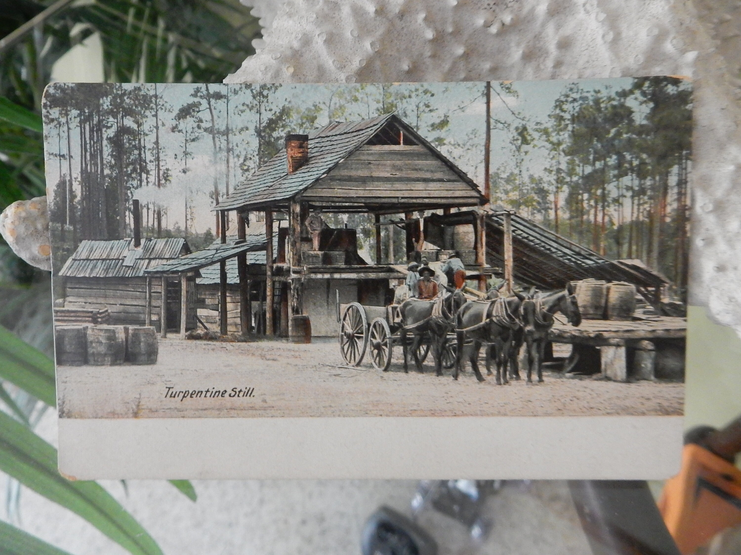 Turpentine Still, Black Americana Postcard - Etsy