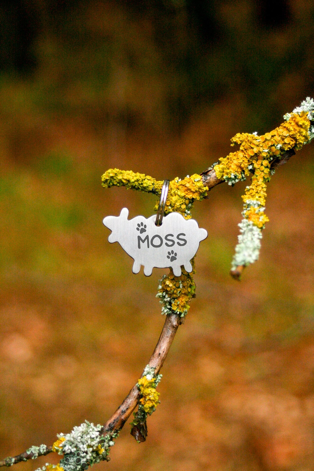 Sheep Id Tag, Herding Dogs Id Tag, Shepherd, Border Collie, Sheltie ...