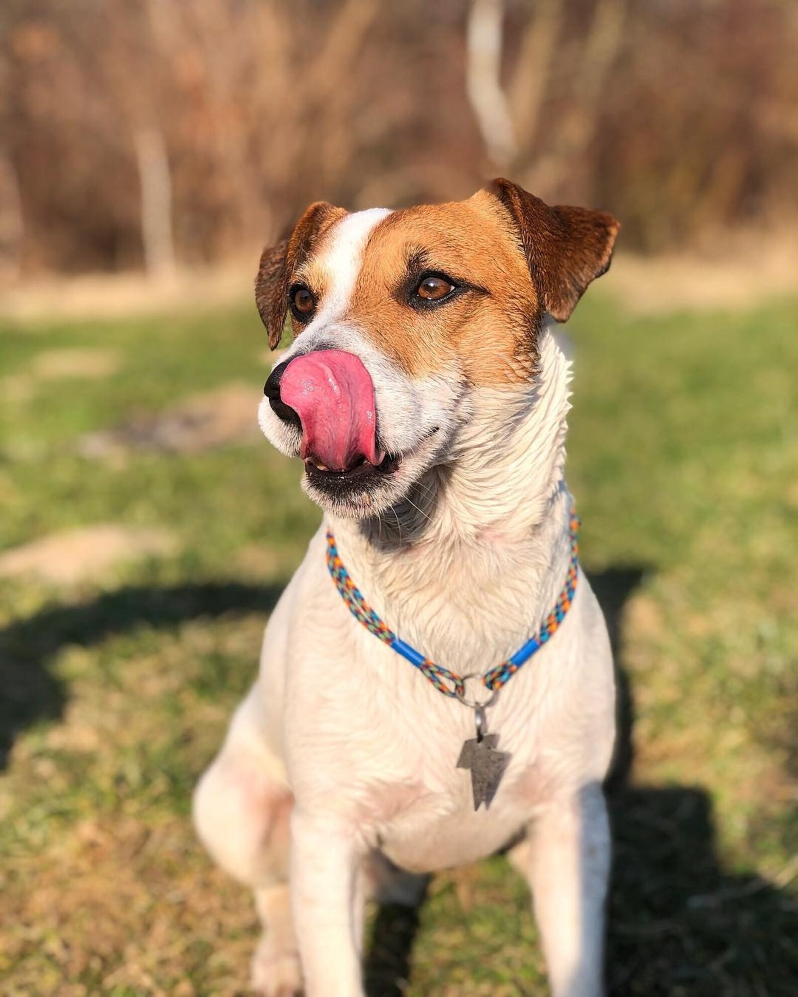 Lightning Dog Tag Flash Tag Zeus Id Tag Thor Tag - Etsy