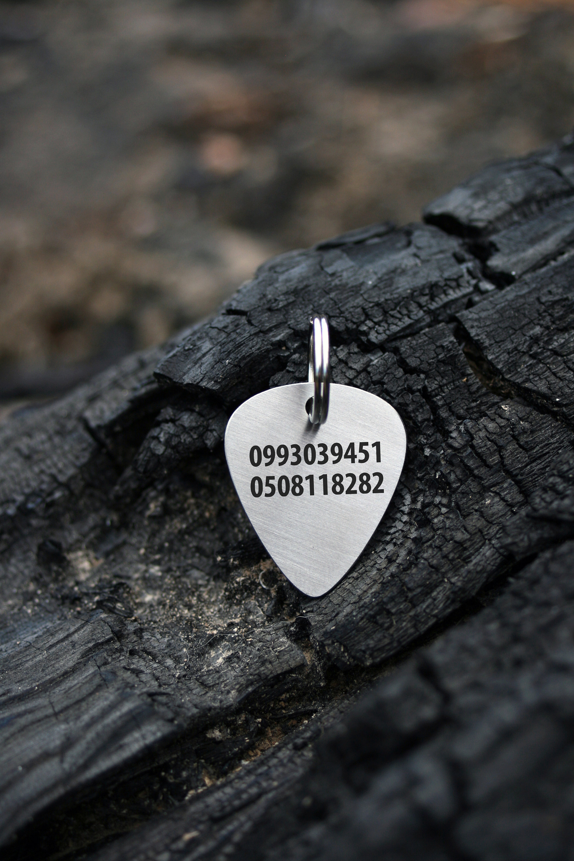 Plectrum Dog Tag Guitar Pick Id Tag Musician Pet Tag Rock | Etsy