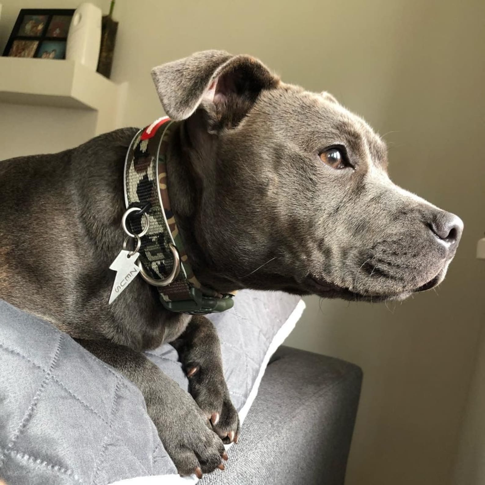 Lightning Dog Tag Flash Tag Zeus Id Tag Thor Tag - Etsy