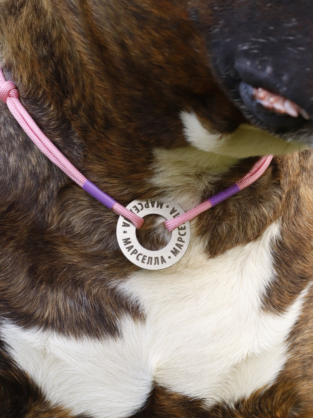 Quiet Id Tag Without an Additional Ring, Id Tag That is Impossible to ...