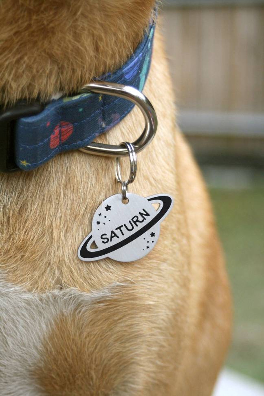 Planet Saturn Dog Tag: Engraved Stainless Steel Pet ID - Etsy