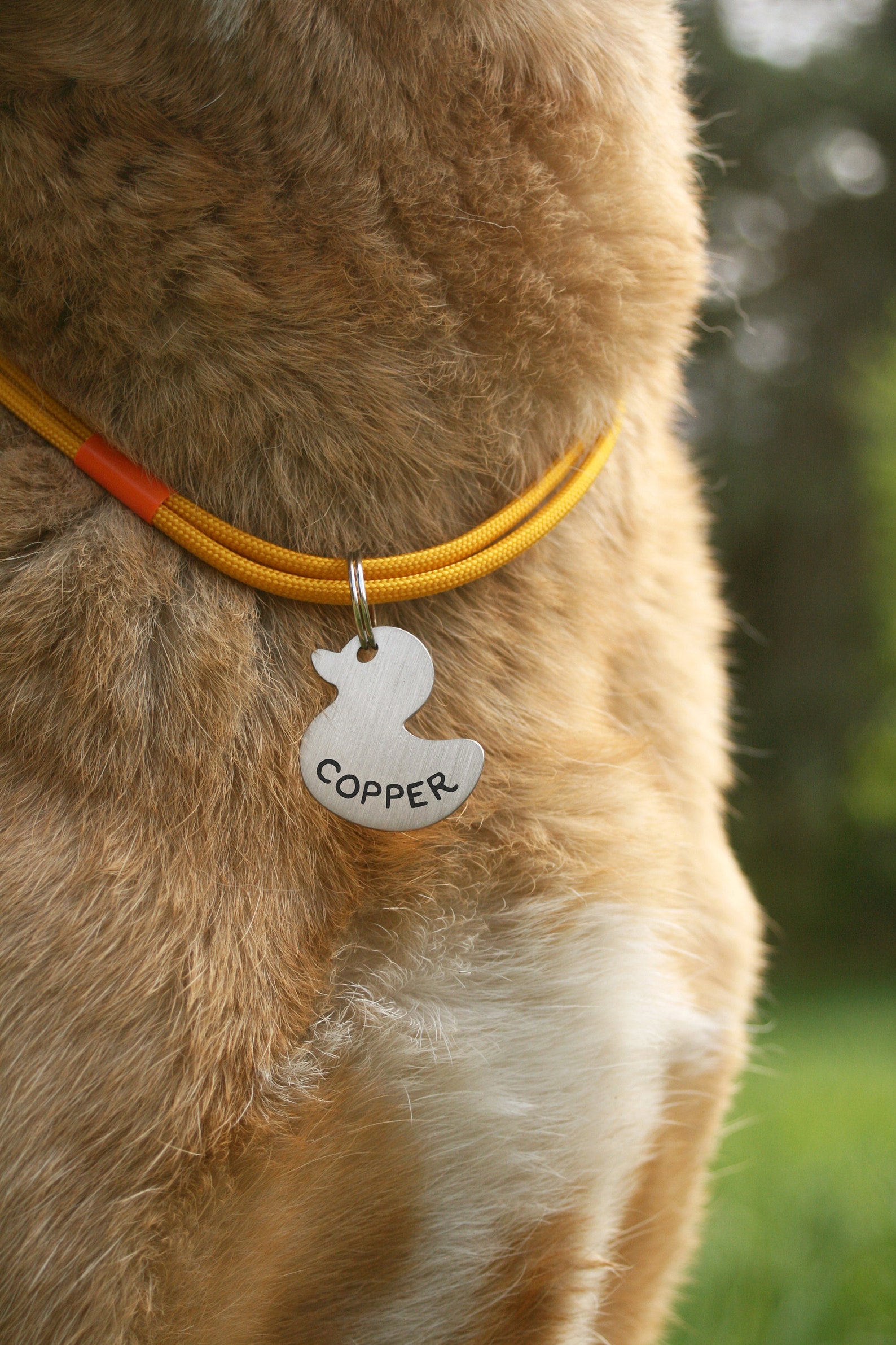 Rubber Duck Dog Tag: Deep Engraved Stainless Steel Pet ID - Etsy