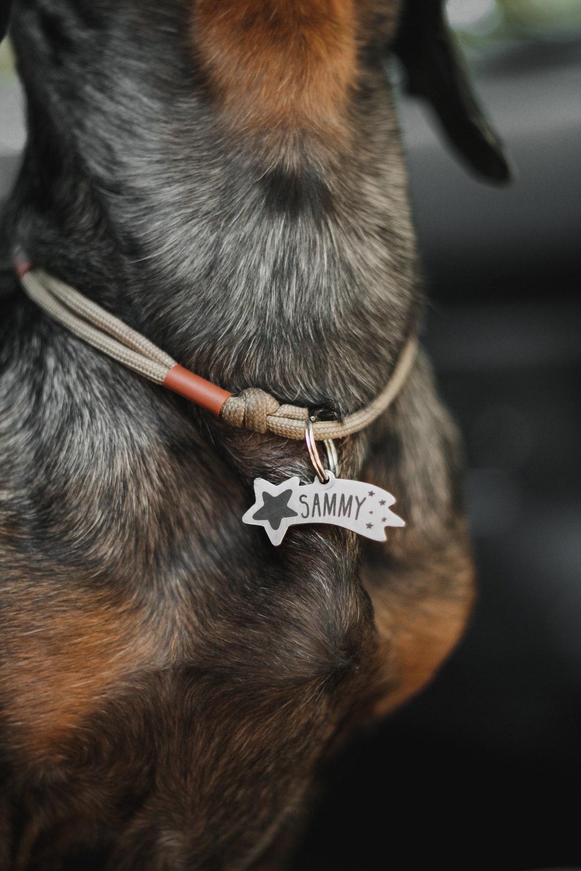 Comet Dog Tag, Shooting Star Id Tag, Star Id Tag - Etsy