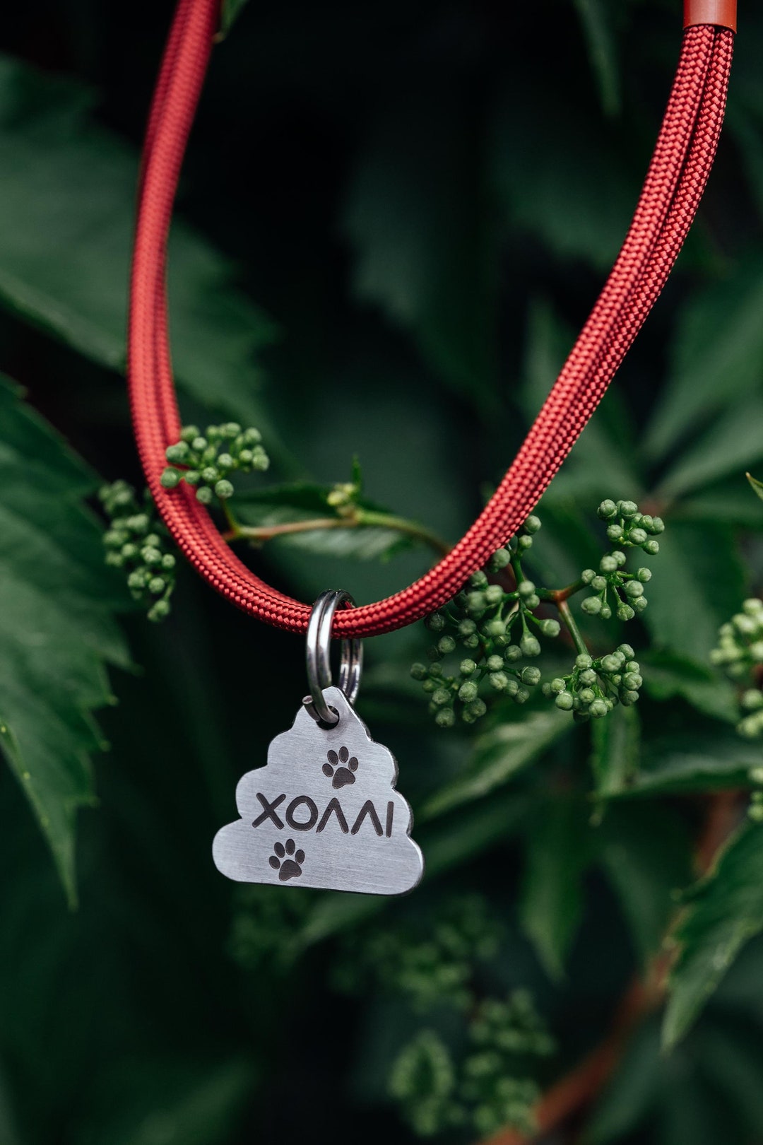 Poop Emoji Pet ID Tag: Engraved Stainless Steel Dog Tag - Etsy