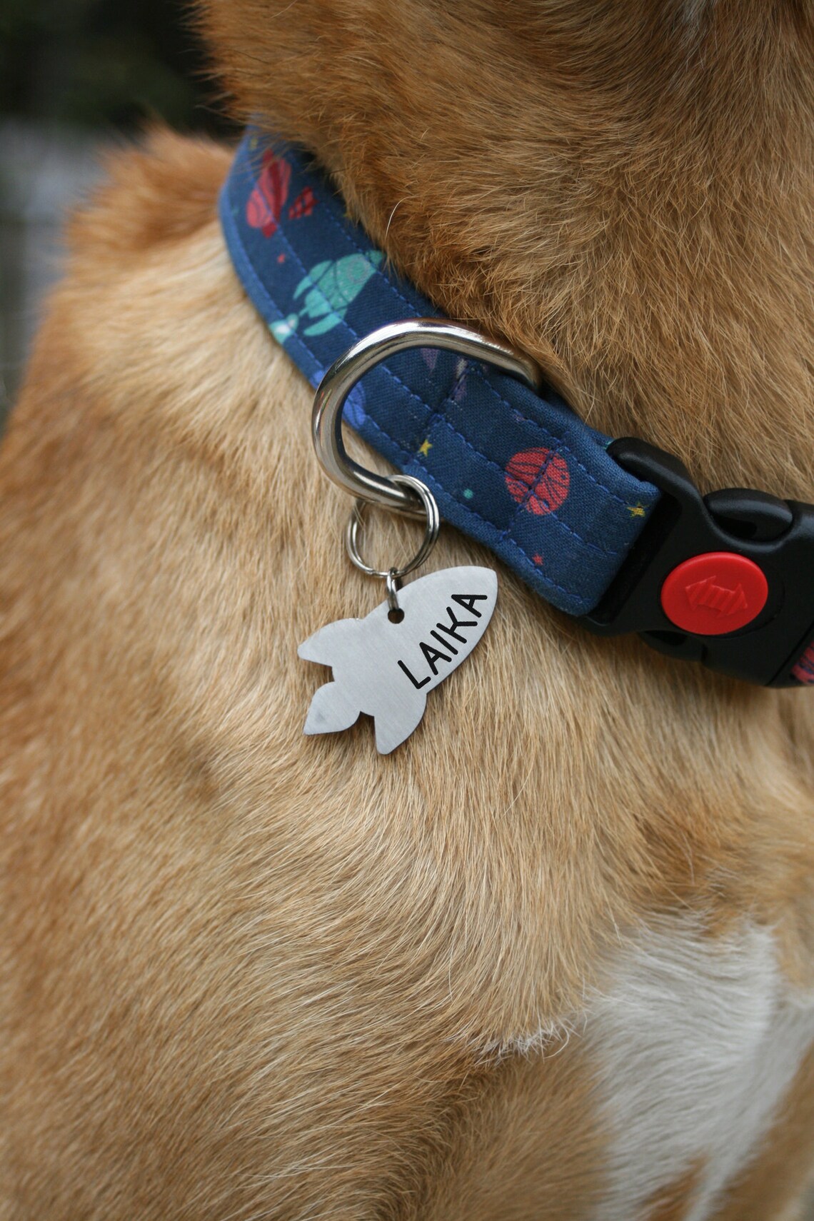 Rocket Dog Tag Space Custom Two Sides Tag Identity Dog - Etsy