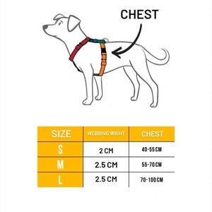 Webbing Multicolor Dog Harness, Adjustable Y-harness - Etsy