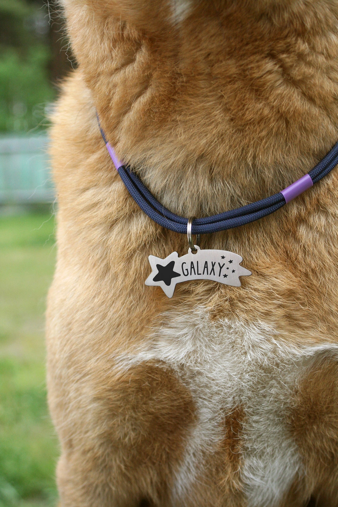 Comet Dog Tag Shooting Star Id Tag Star Id Tag | Etsy