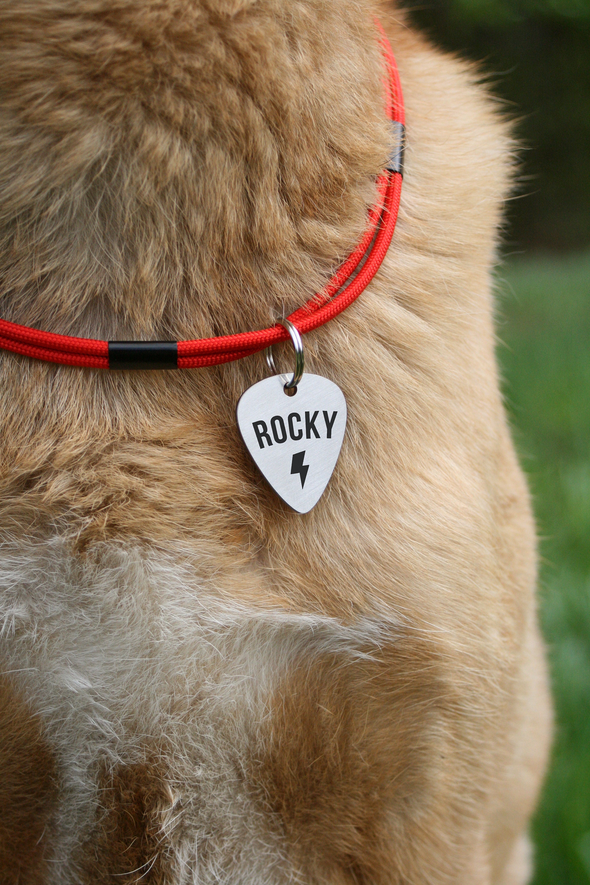 Plectrum Dog Tag Guitar Pick Id Tag Musician Pet Tag Rock | Etsy