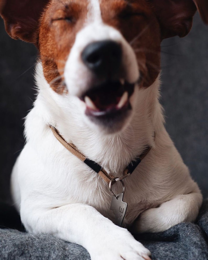 Lightning Dog Tag Flash Tag Zeus Id Tag Thor Tag - Etsy