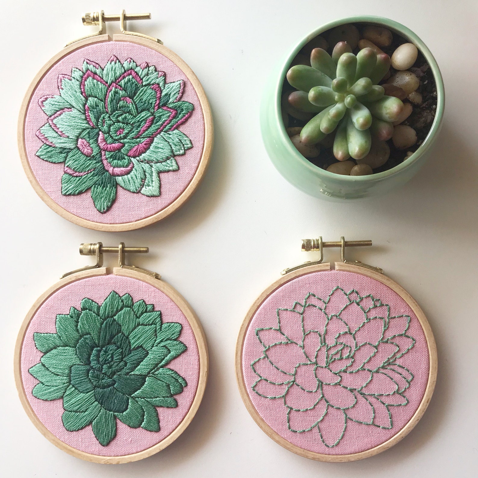 Embroidery Pattern PDF Sweet Succulents Echeveria Hand Embroidery Three ...
