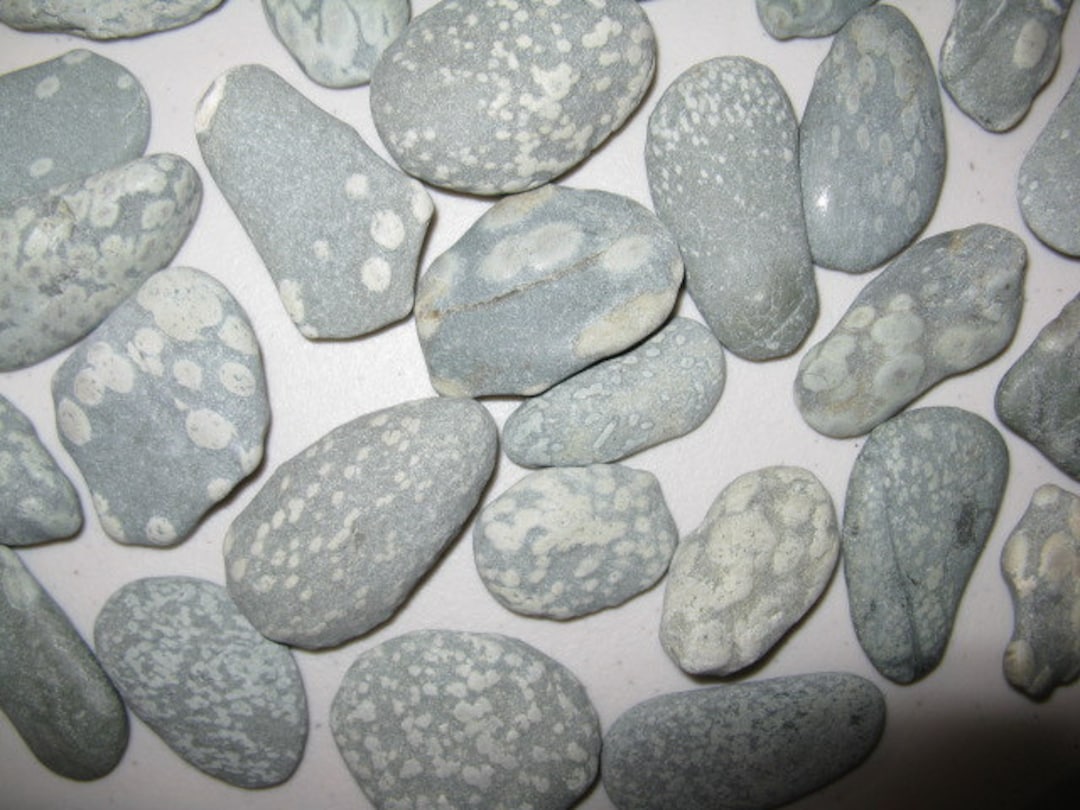 35 Turtle Rocks 1"-2", NW Native Rock, Natural and Unique,craft Rock ...