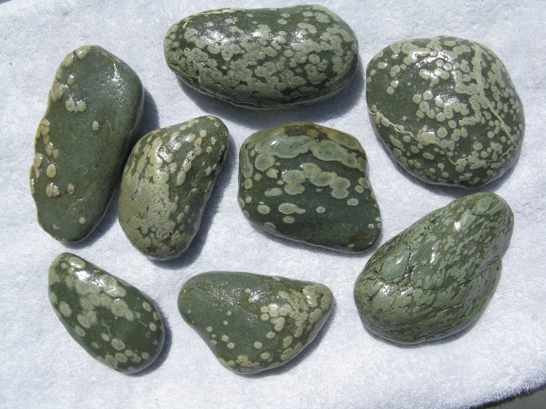 10 Large Turtle Rocks 3"-4", NW Native Rock, Natural and Unique,craft ...