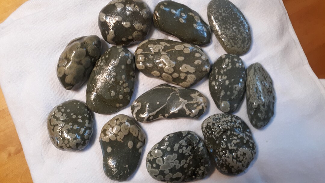 13 Turtle Rocks, 34 NW Native Rock, Natural and Unique,craft Rock,river ...