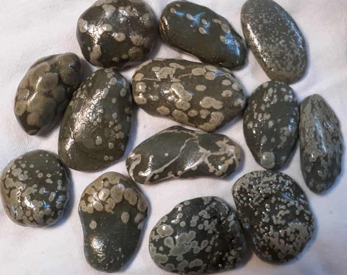 13 Turtle Rocks, 3"-4" NW Native Rock, Natural and Unique,craft Rock ...