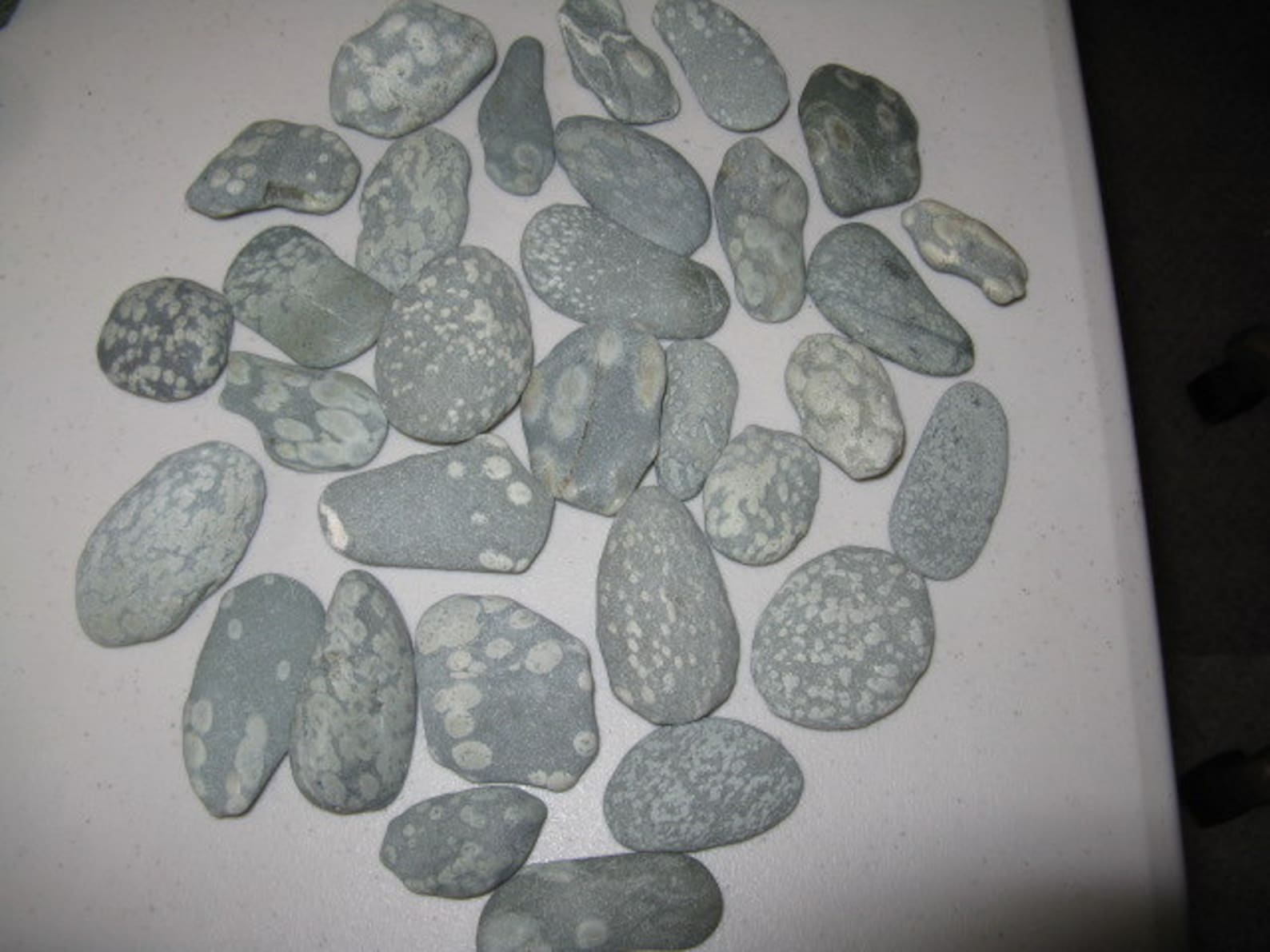 35 Turtle Rocks 1"-2", NW Native Rock, Natural and Unique,craft Rock ...