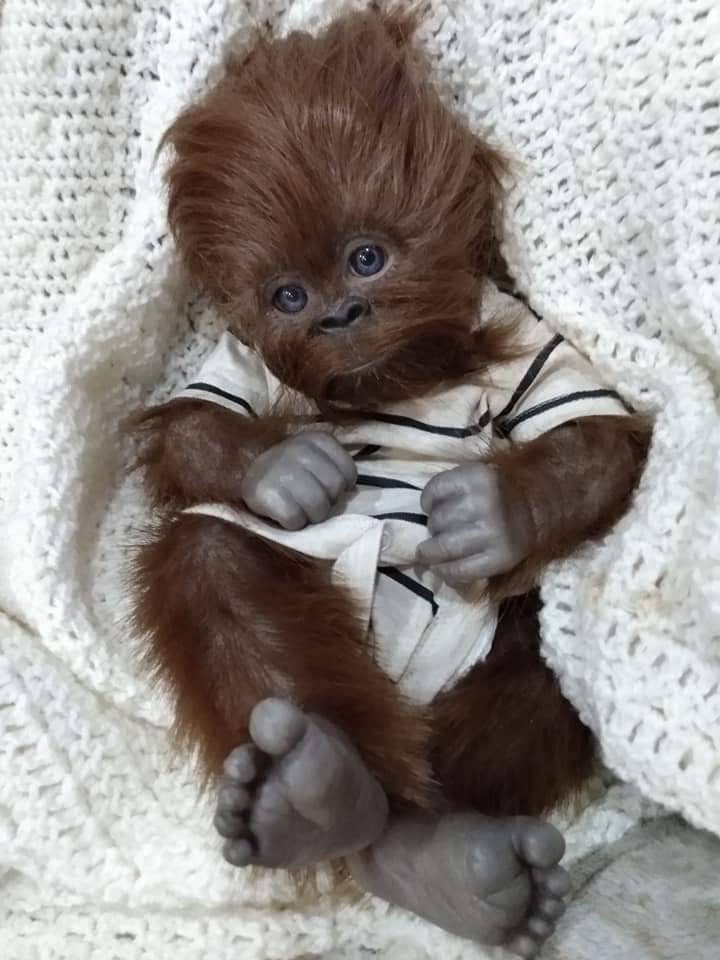 Custom Baby Chewy - Etsy