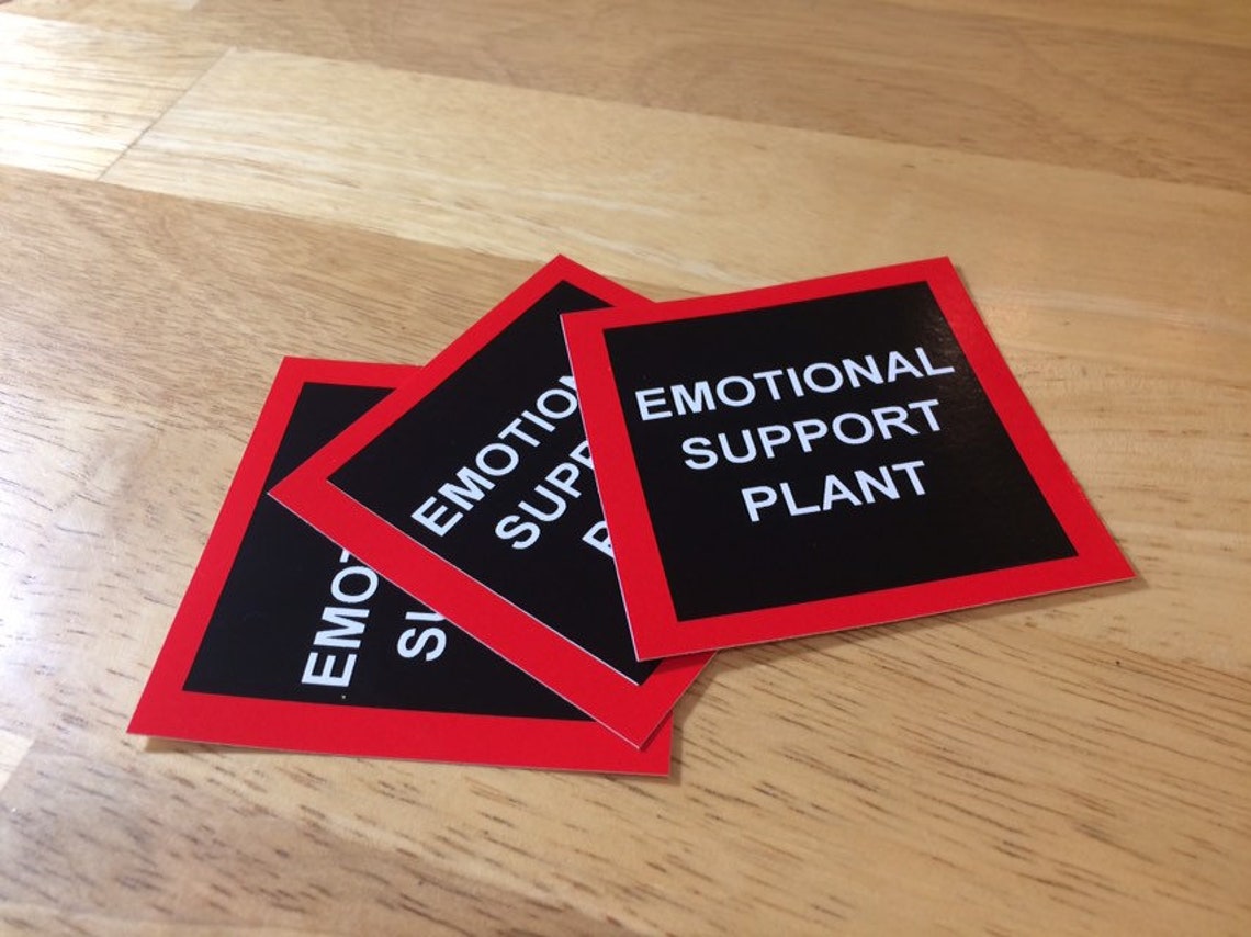 Plant Sticker emotional Support Plant for Pots Water - Etsy
