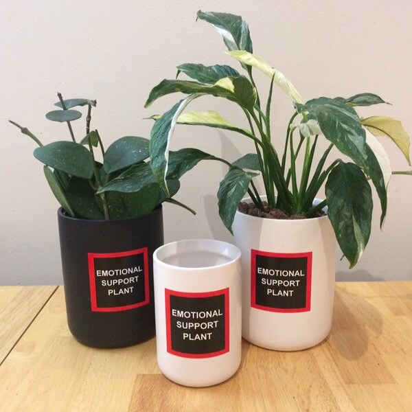 Plant Sticker - Etsy