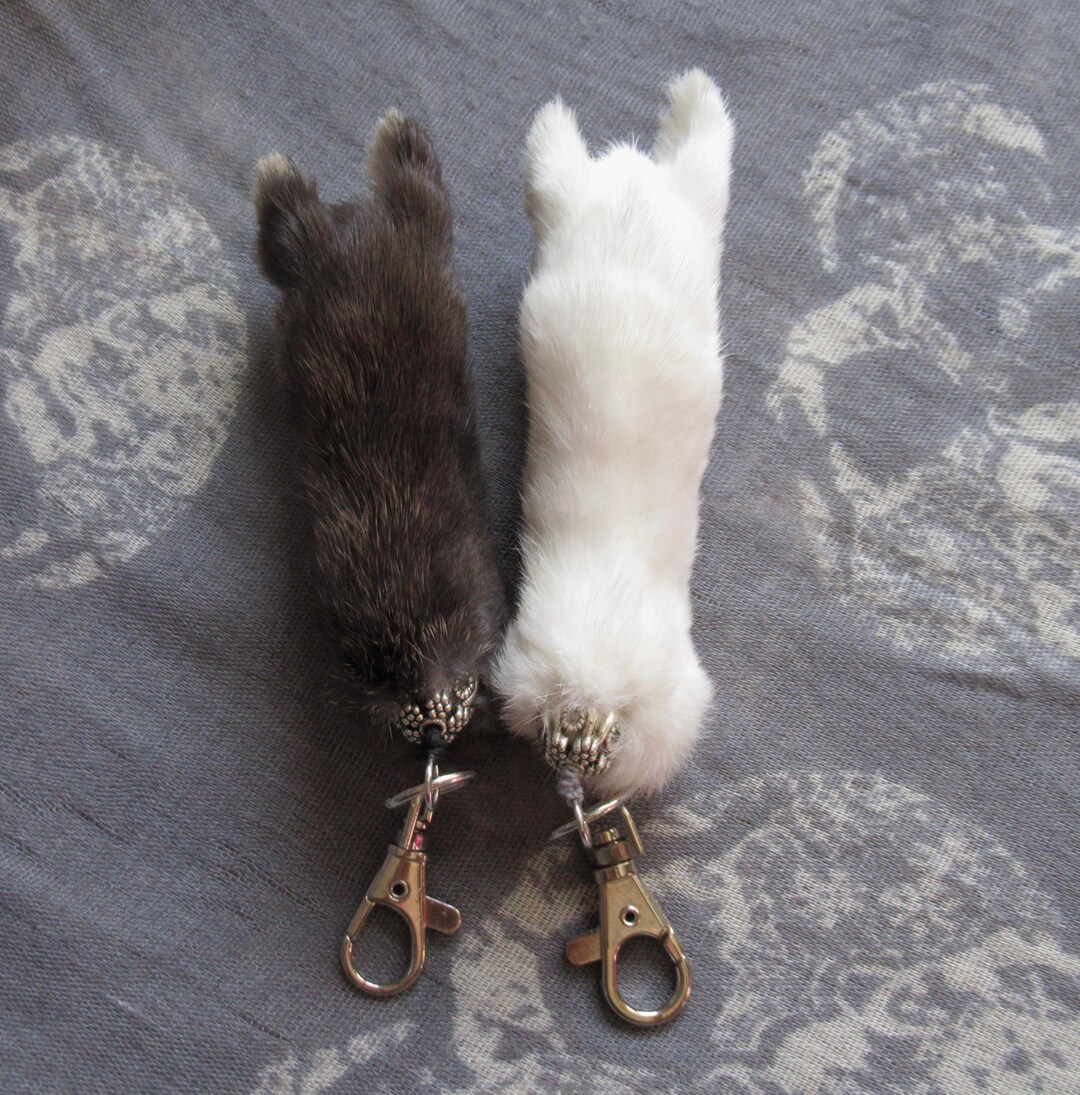 Taxidermy Anthropomorphic Rabbit's Foot, Giving the Horns Gesture - Etsy